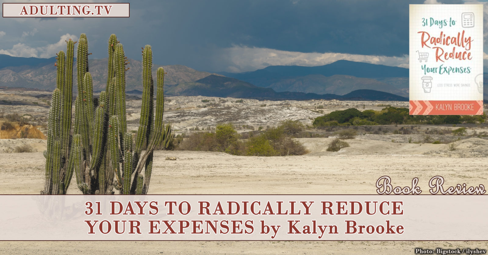 Book Review: 31 Days to Radically Reduce Your Expenses - Adulting